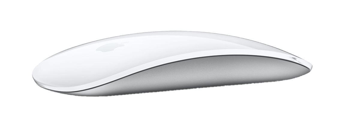 6 Best Mouses for Graphic Design (Buying Guide 2024)