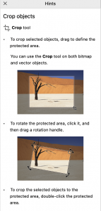 CorelDRAW vs Adobe Illustrator: Detailed Comparison (2024)