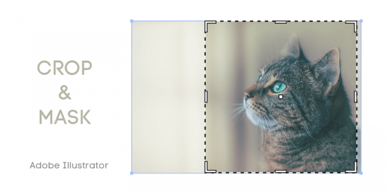 3 Useful Ways to Crop an Image in Adobe Illustrator