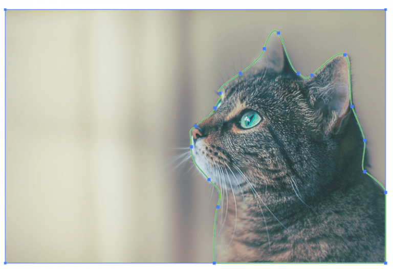 3 Useful Ways to Crop an Image in Adobe Illustrator