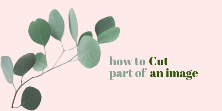 4 Ways to Cut Part of an Image in Adobe Illustrator