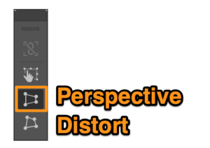 How to Change/Distort Perspective in Adobe Illustrator