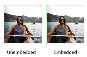 2 Ways to Embed Images in Adobe Illustrator (Quick Tips)
