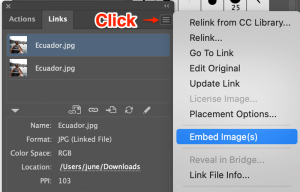 2 Ways to Embed Images in Adobe Illustrator (Quick Tips)