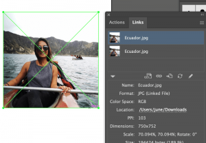 2 Ways to Embed Images in Adobe Illustrator (Quick Tips)