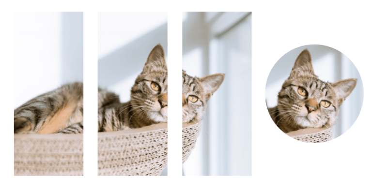 2 Ways to Fill Shape with Image in Adobe Illustrator