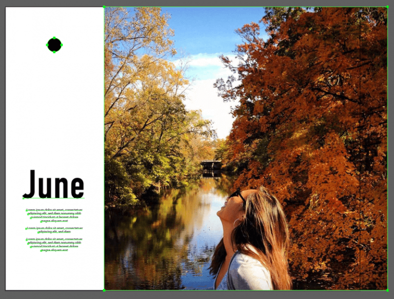 How to Flatten an Image in Adobe Illustrator (3 Steps)