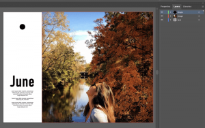 How to Flatten an Image in Adobe Illustrator (3 Steps)