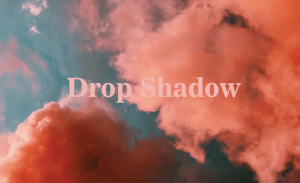 2 Quick Steps to Add Drop Shadow in Adobe Illustrator