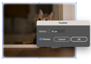 How to Blur Image and Text in Adobe Illustrator
