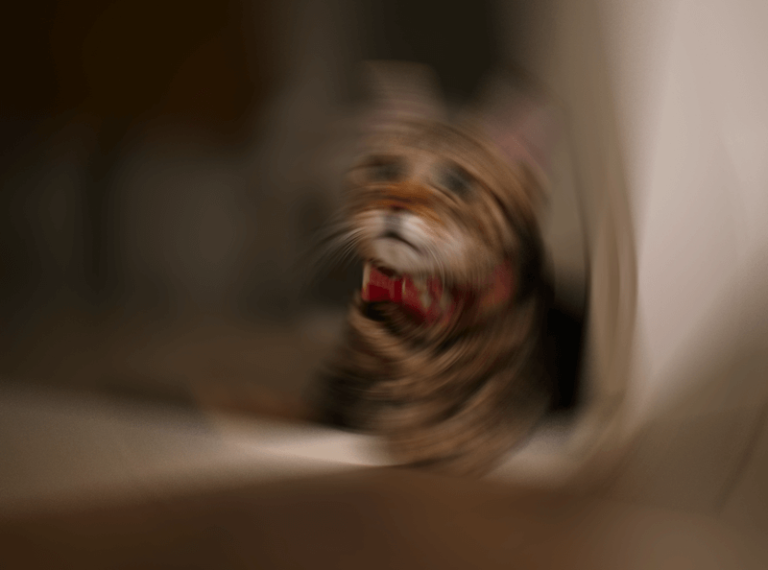 How to Blur Image and Text in Adobe Illustrator