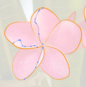 How to Draw in Adobe Illustrator (Vector & Freehand)