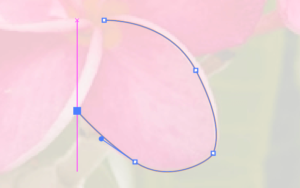 How to Draw in Adobe Illustrator (Vector & Freehand)