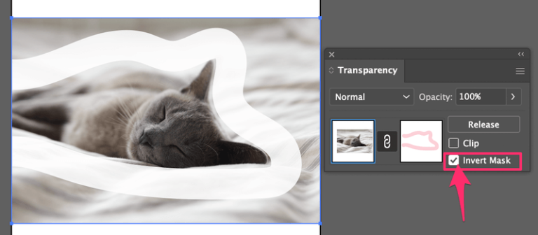 3 Ways to Erase in Adobe Illustrator (Step-by-Step Guides)