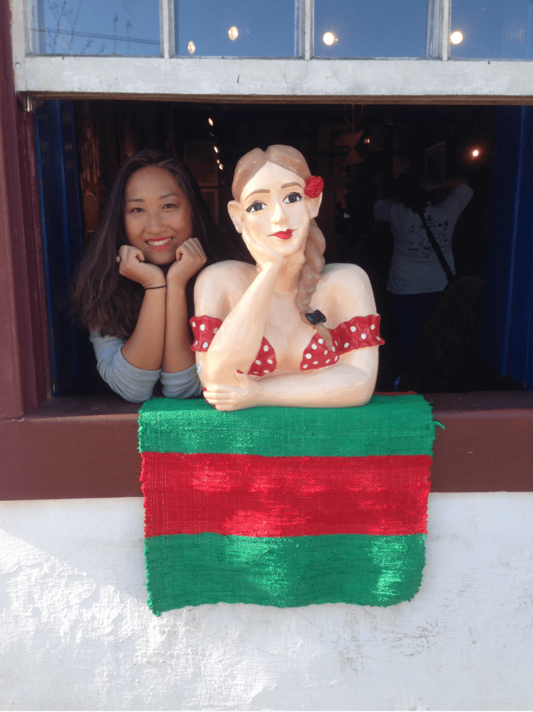 4 Ways to Make a Clipping Mask in Adobe Illustrator