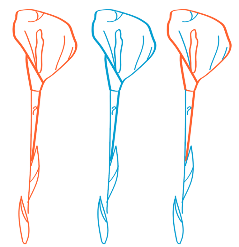 How to Invert Color in Adobe Illustrator (Vectors & Images)