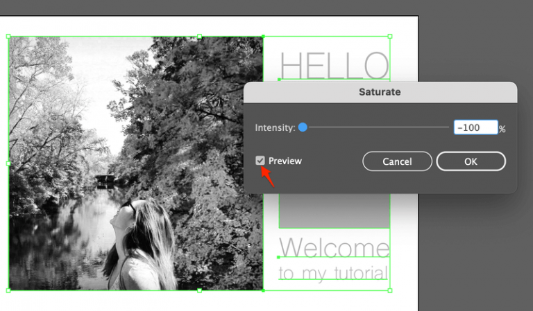 3 Ways to Make an Image Grayscale in Adobe Illustrator