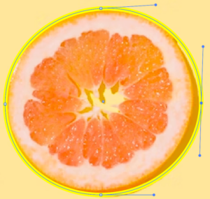 3 Easy Steps to Make Sticker Sheet in Adobe Illustrator