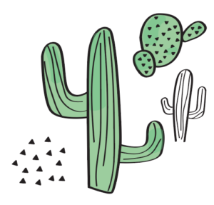 How to Find & Use Pantone Colors in Illustrator (Updated)