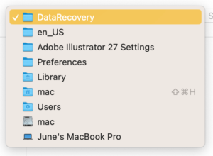 4 Quick Ways to Recover Your Adobe Illustrator Files