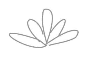 Sketch vs Adobe Illustrator: Detailed Comparison (2025)