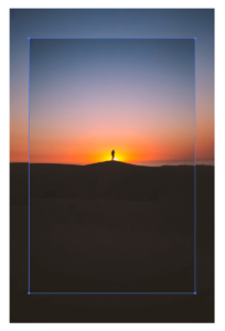 How to Step and Repeat in Adobe Illustrator (3 Easy Ways)