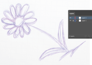 How to Turn Hand Drawing into Vector in Illustrator (2024)