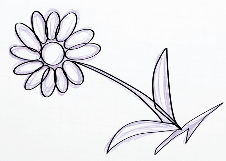 How to Turn Hand Drawing into Vector in Illustrator (2024)