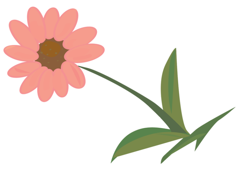 How to Turn Hand Drawing into Vector in Illustrator (2024)