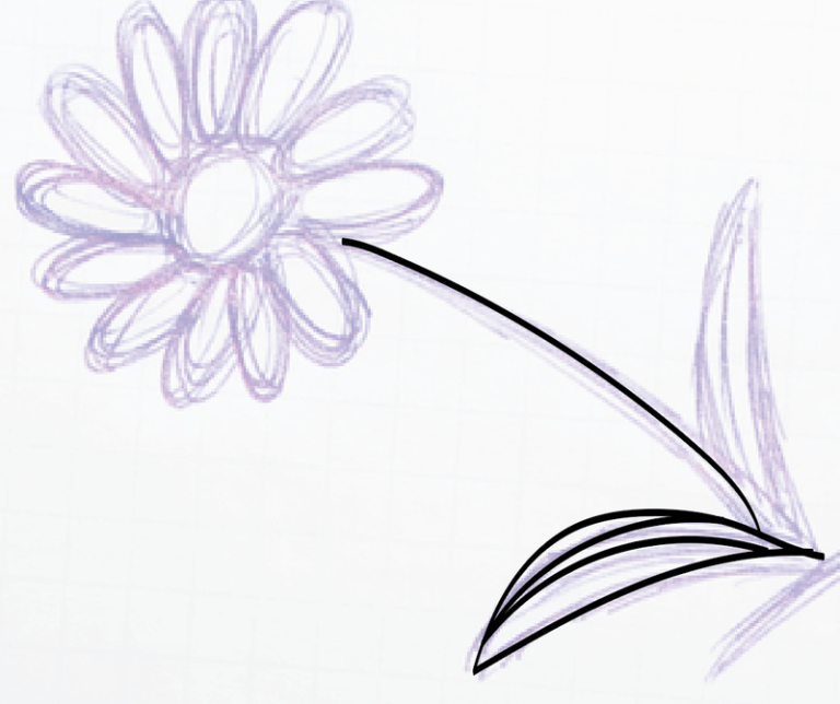 How to Turn Hand Drawing into Vector in Illustrator (2024)