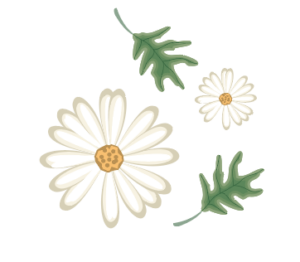 How to Add and Use Symbols in Adobe Illustrator