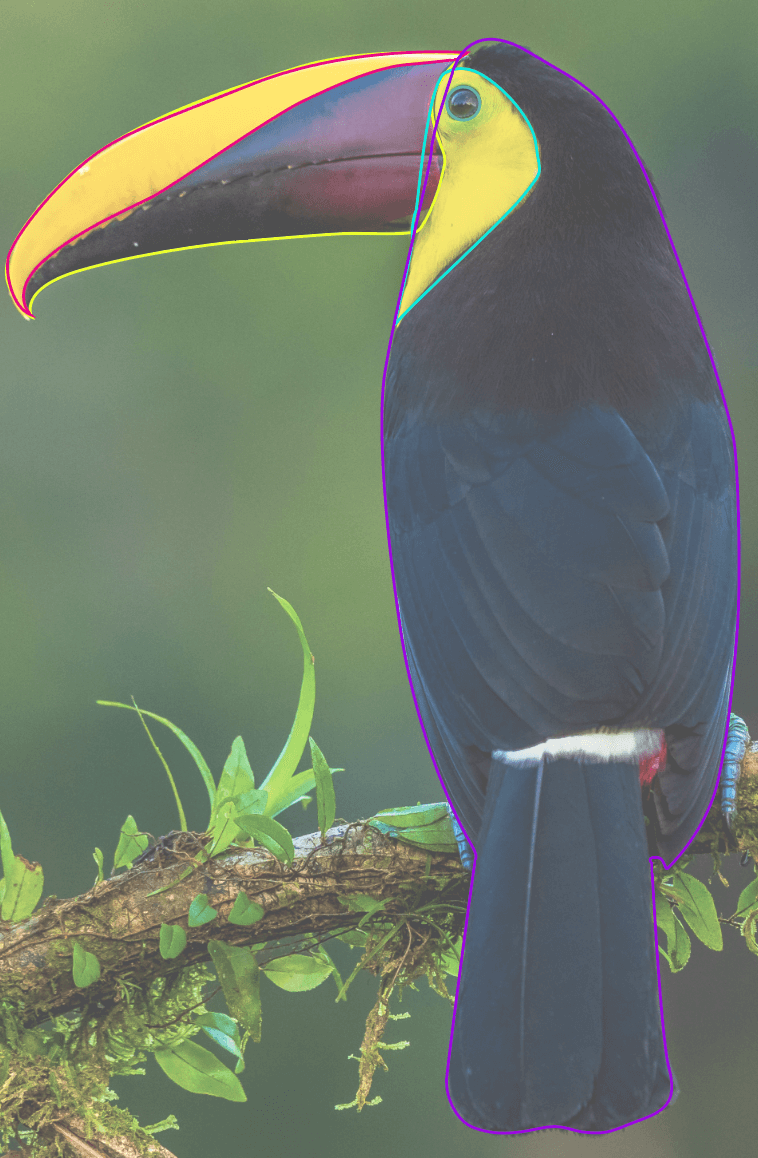 2 Easy Ways to Vectorize an Image in Adobe Illustrator